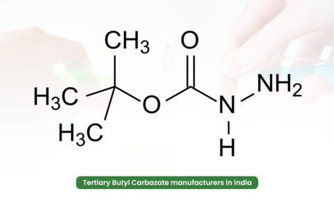 Tertiary Butyl Carbazate Manufacturers In India